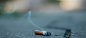 'Out to Pasture' by Timothy Boudreau - Pif Magazine