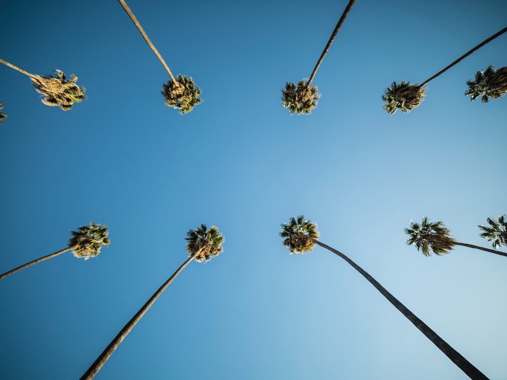 'Hollywood and Highland' by Diana Rosen - Pif Magazine