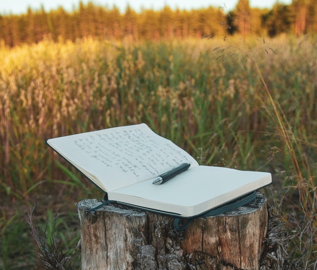 'Poem for Beth' by Jay Dubberly - Pif Magazine